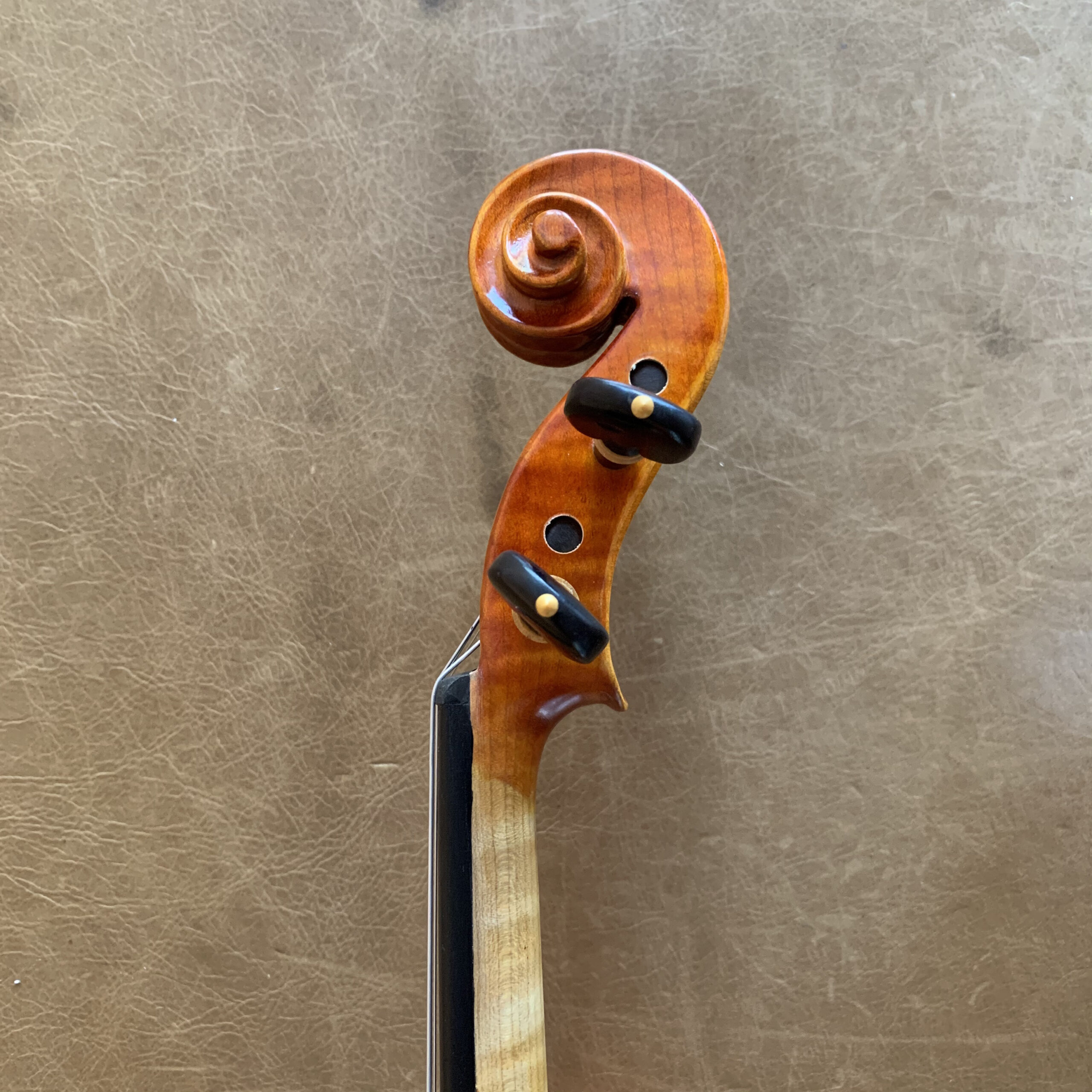 Violin Intermediate 4-4 Scroll | Michalis Pantelides Violin Shop