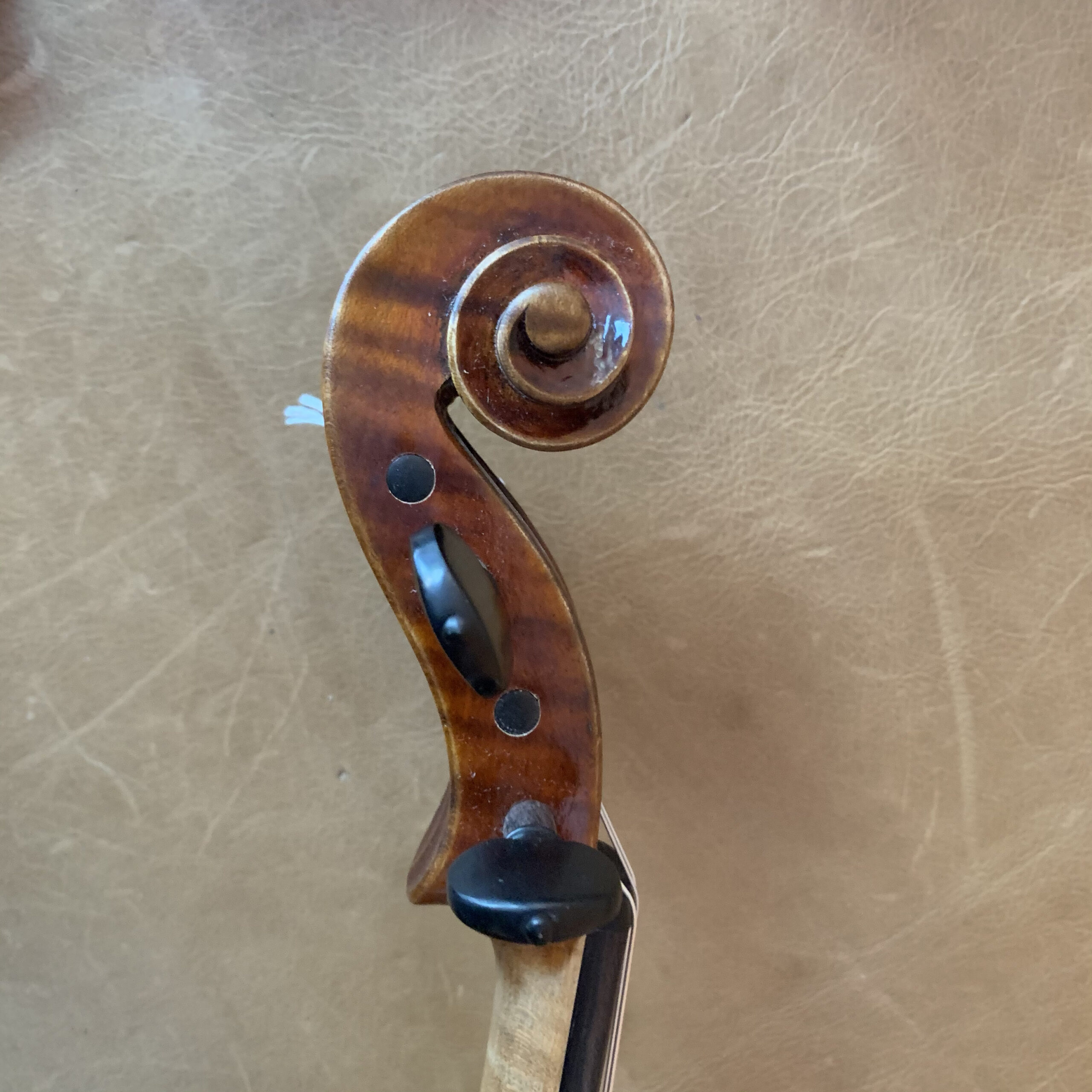 VN-V6 SCROLL | Michalis Pantelides Violin Shop