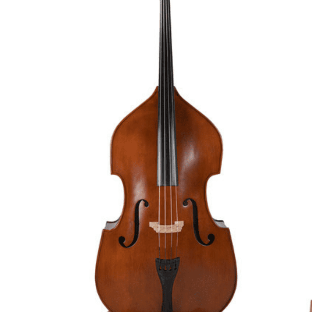 Double Basses | Michalis Pantelides Violin Shop